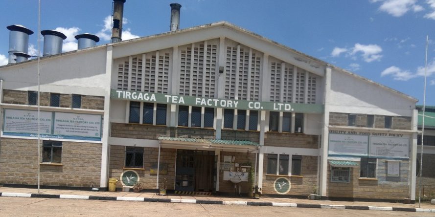 Tirgaga Tea Factory – Abiri Kenya