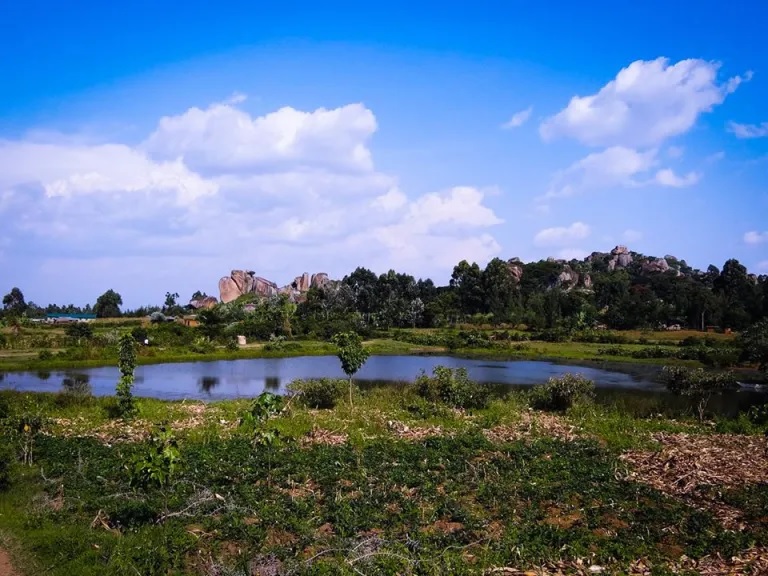 Kabuchai Hills – Abiri Kenya