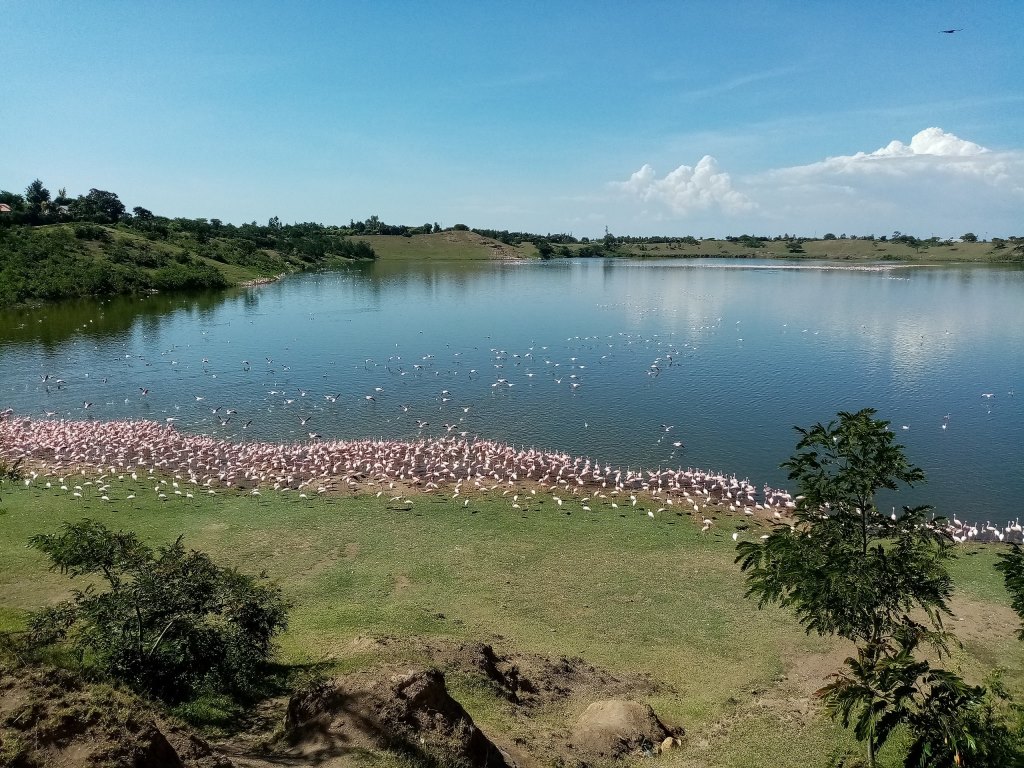 Lakes in Kenya – Abiri Kenya