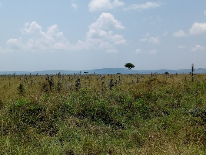 Ruma National Park – Abiri Kenya