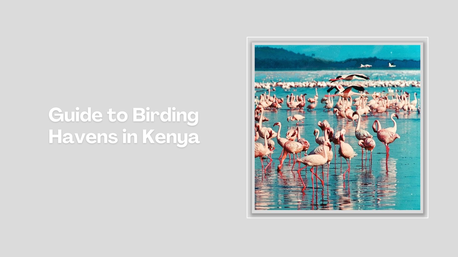 Sabaki River Delta – Abiri Kenya