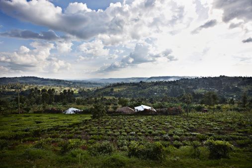 About Nyamira County – Abiri Kenya