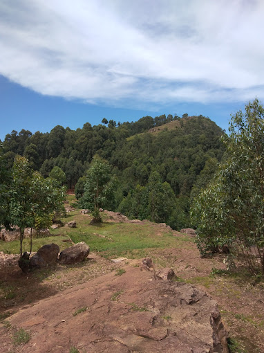 Manga Hills – Abiri Kenya