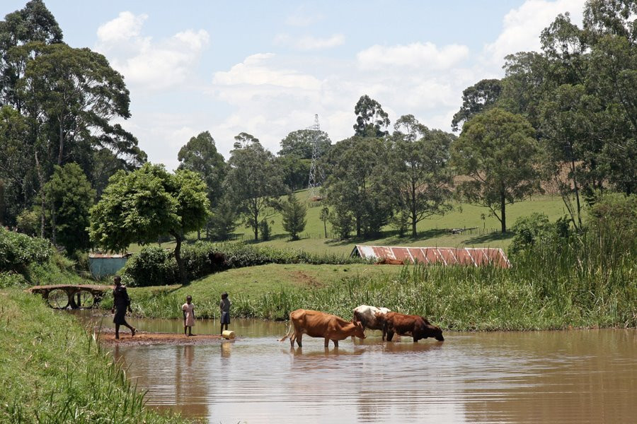 River Gucha – Abiri Kenya