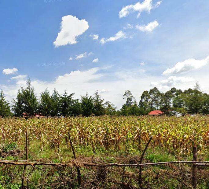 Chebara Irrigation Scheme – Abiri Kenya