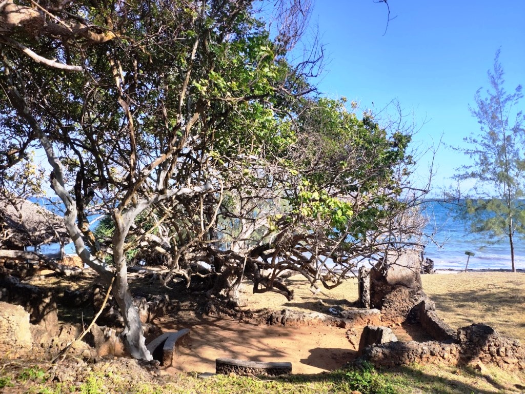 About Kilifi – Abiri Kenya