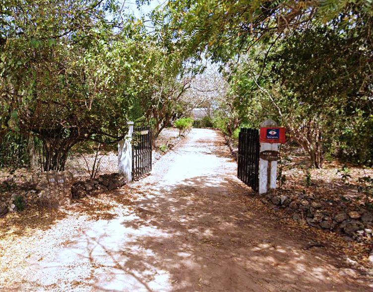 Neem Tree House – Abiri Kenya