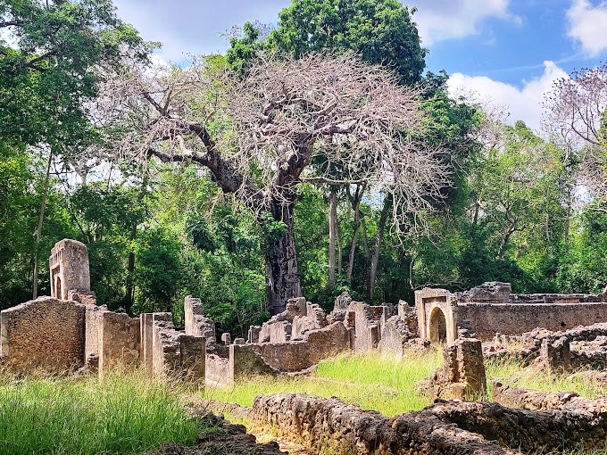 Ruins of Gede – Abiri Kenya