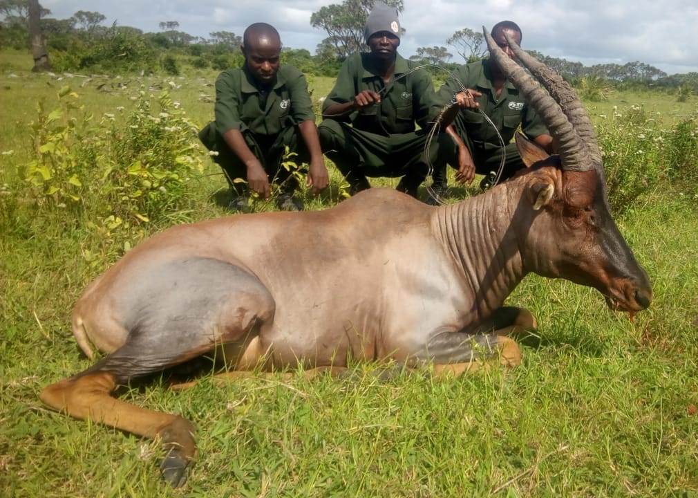 Kipini Conservancy – Abiri Kenya