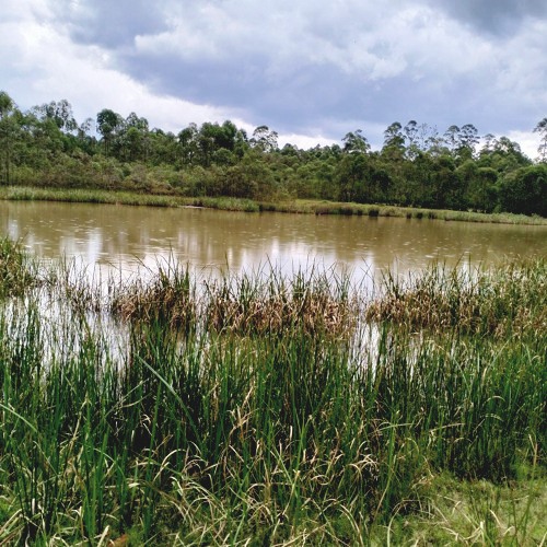 About Kisii – Abiri Kenya