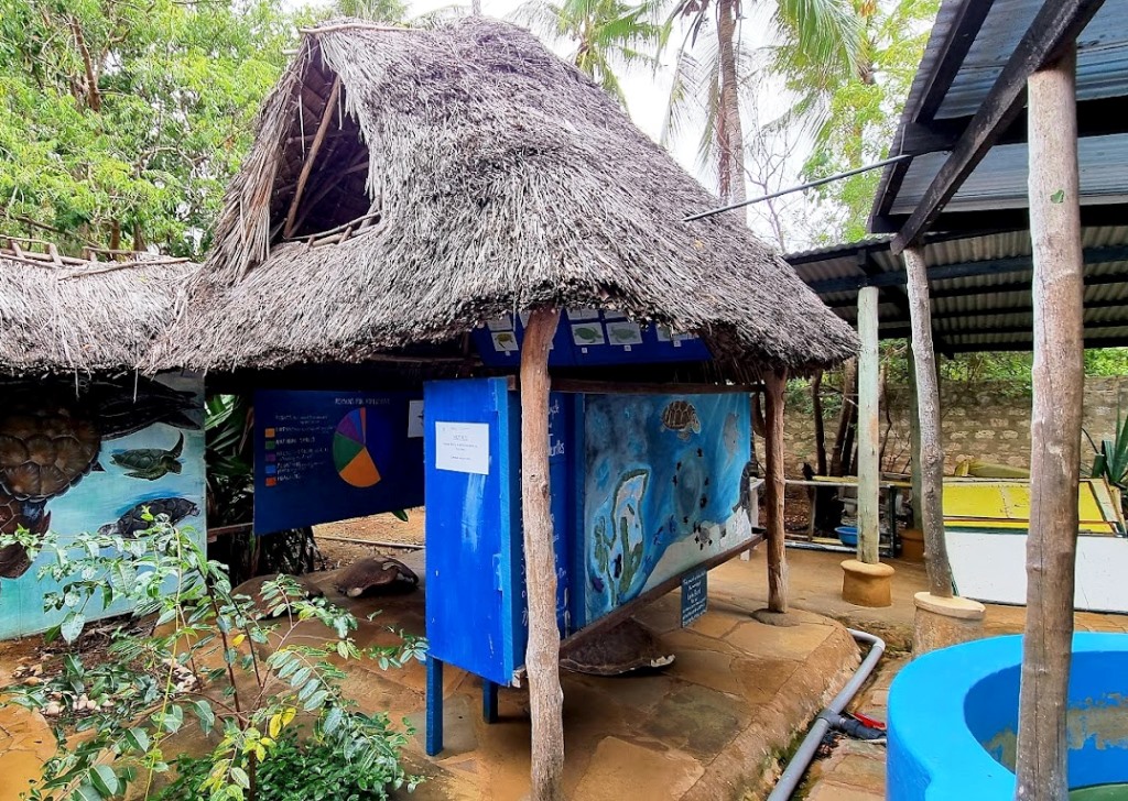 Local Ocean Conservation – Abiri Kenya