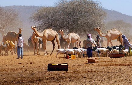 Mandera County – Abiri Kenya
