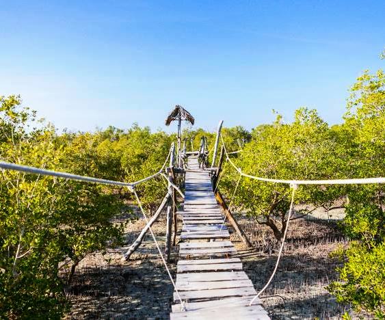 Mida Creek – Abiri Kenya