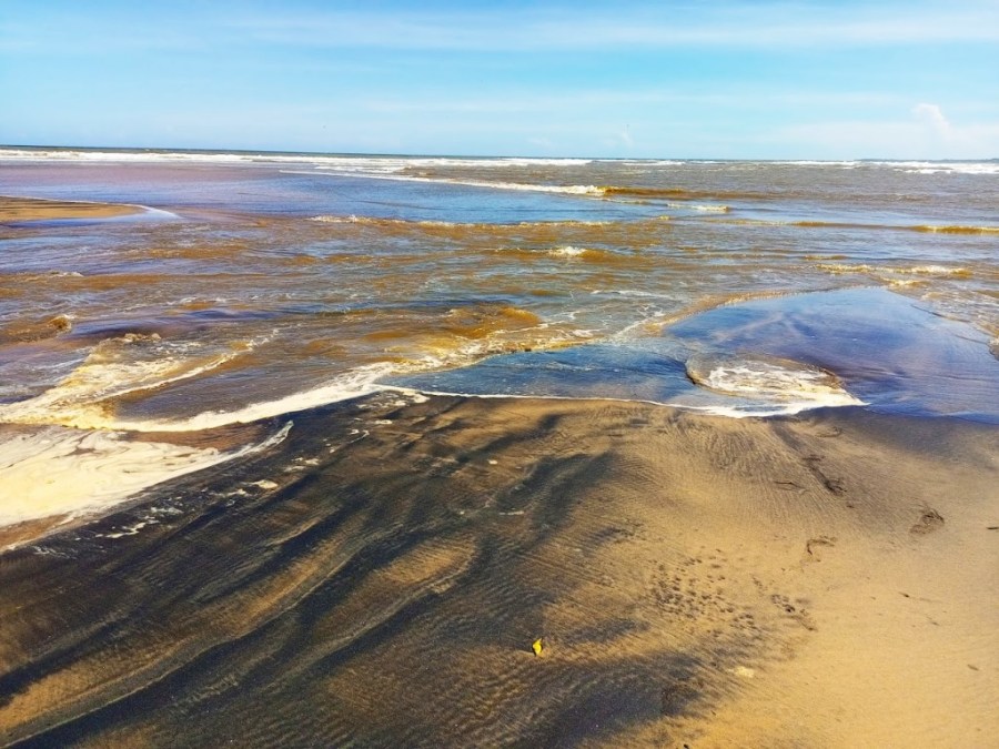 River Sabaki Estuary – Abiri Kenya