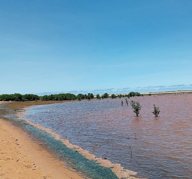 River Sabaki Estuary – Abiri Kenya
