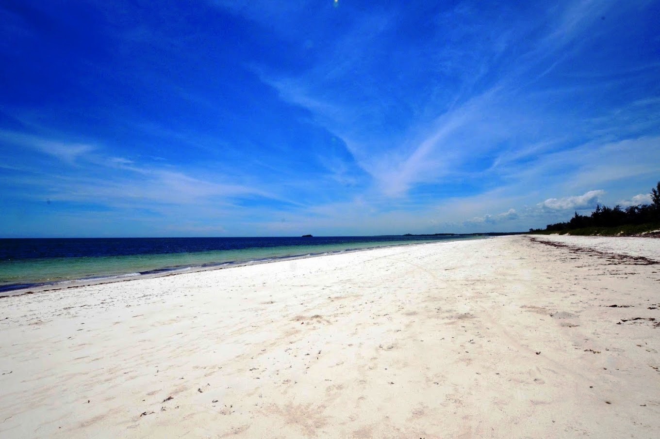 Watamu Treehouse – Abiri Kenya