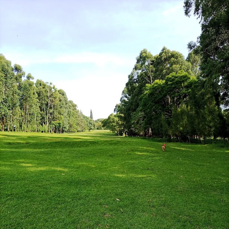 About Kisii – Abiri Kenya