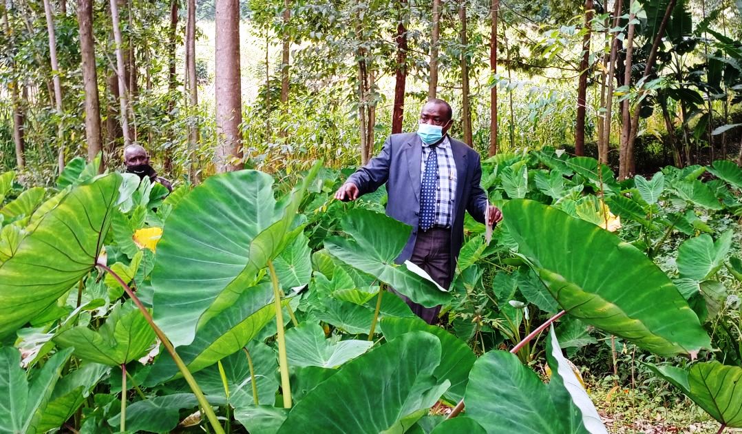 Lake Okari – Abiri Kenya