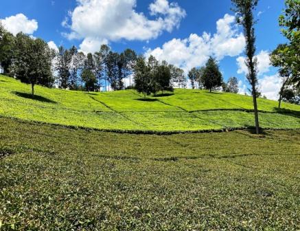 About Muranga – Abiri Kenya