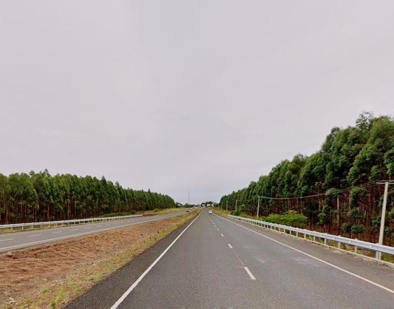 Kakuzi Boran Barn – Abiri Kenya