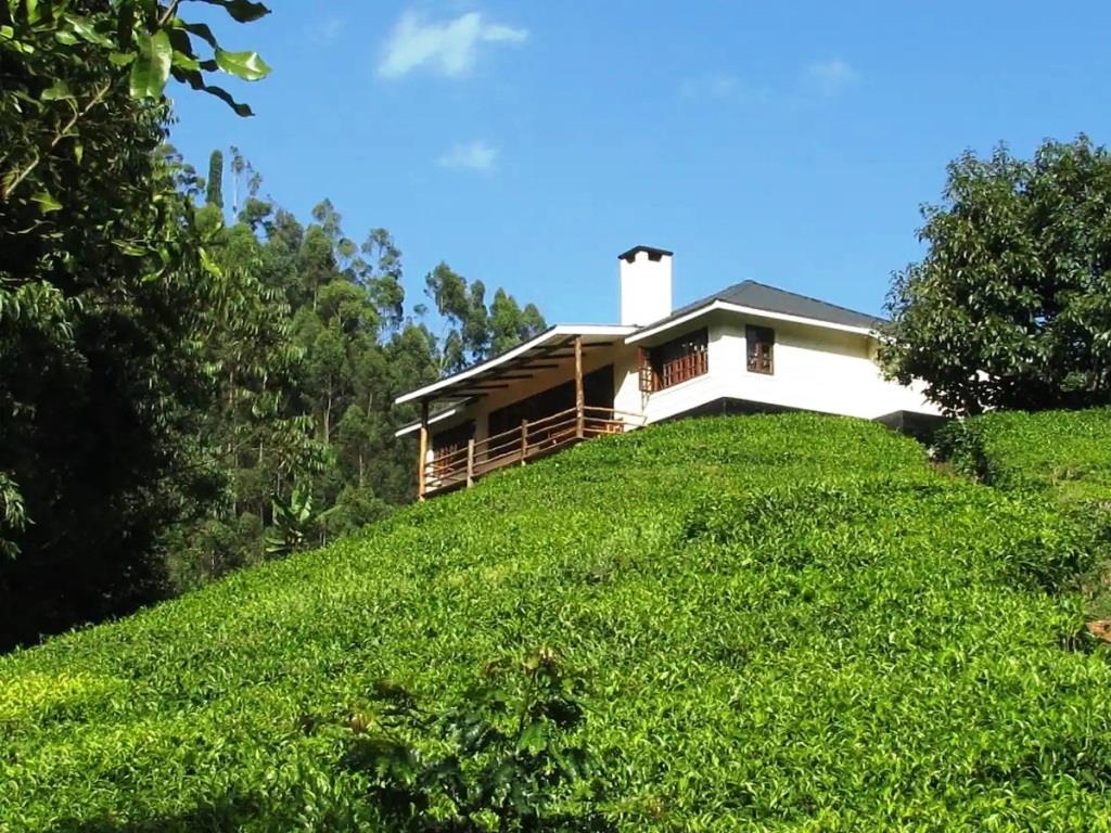 Kimakia Tea Cottages – Abiri Kenya