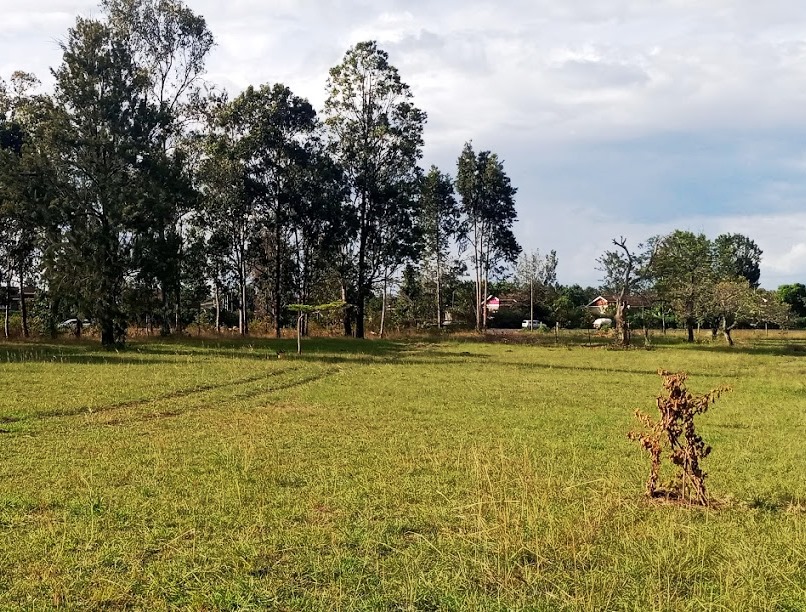 Makuyu Golf Club – Abiri Kenya