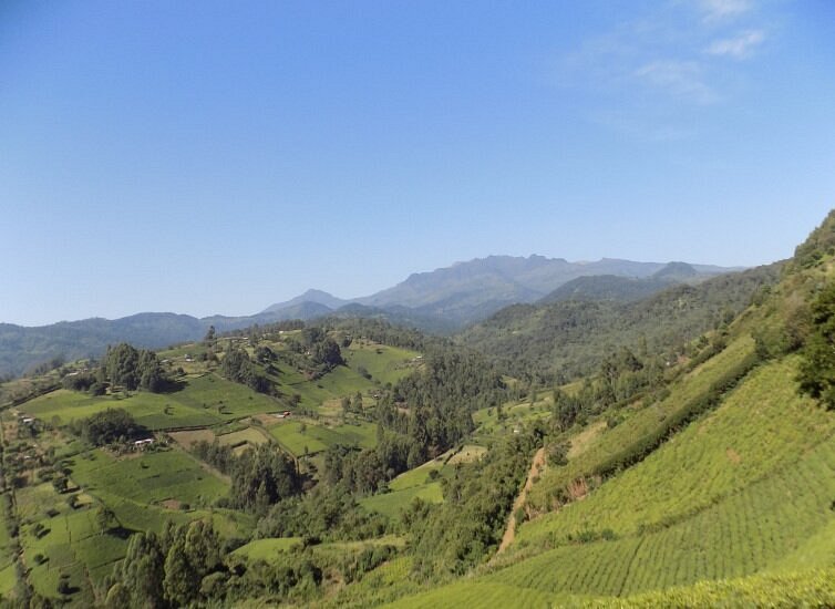 History of Muranga – Abiri Kenya