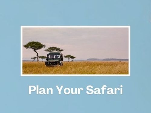 Eldama Ravine – Abiri Kenya