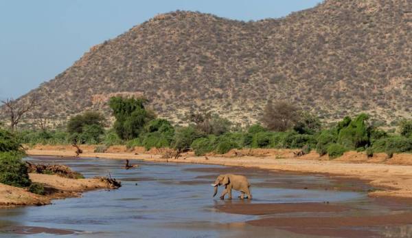Rivers in Kenya – Abiri Kenya