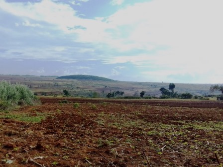 Trans-Mara Area – Abiri Kenya