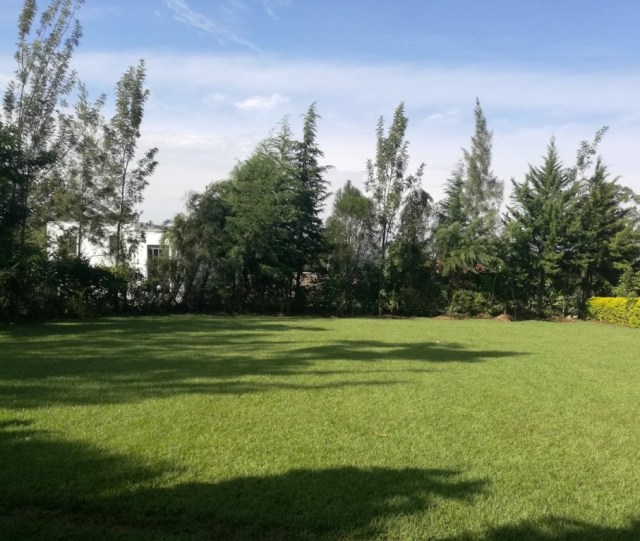 Treat House Resort – Abiri Kenya
