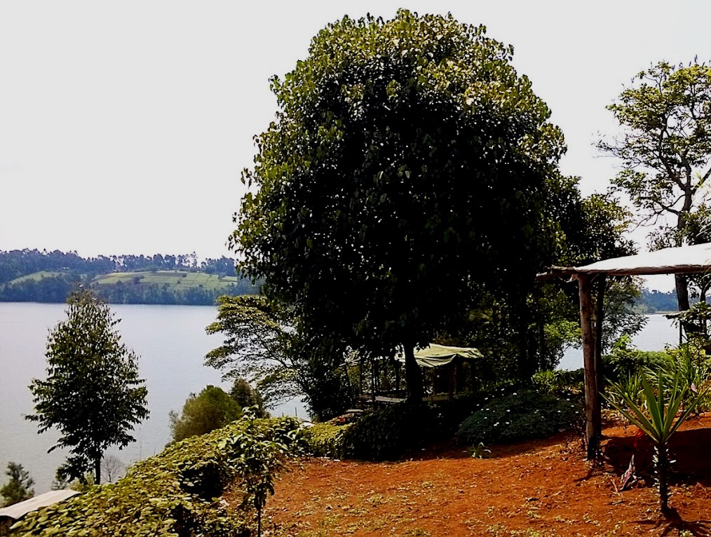 Muchiri’s Resort – Abiri Kenya