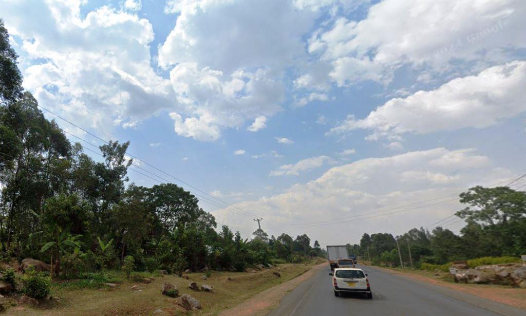 Nganyi Forest – Abiri Kenya