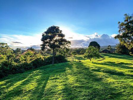 Kirinyaga County – Abiri Kenya