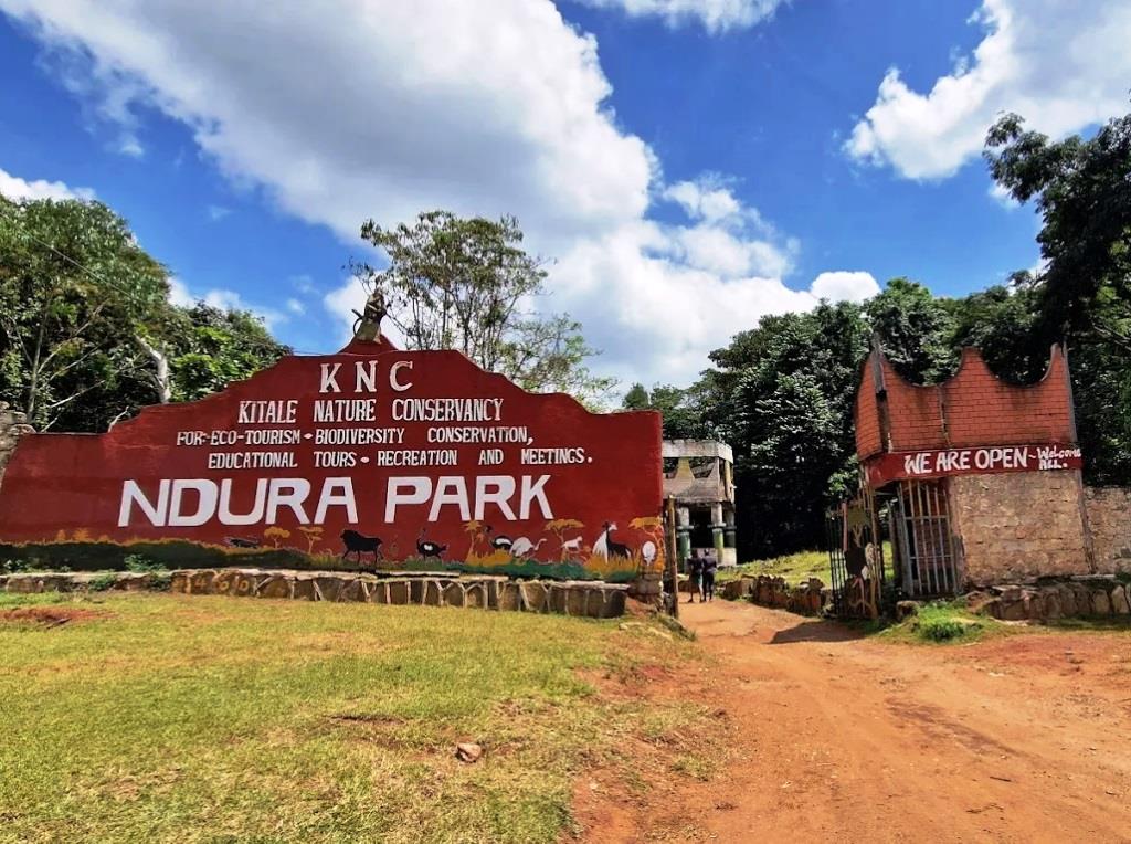 Kitale Nature Conservancy – Abiri Kenya