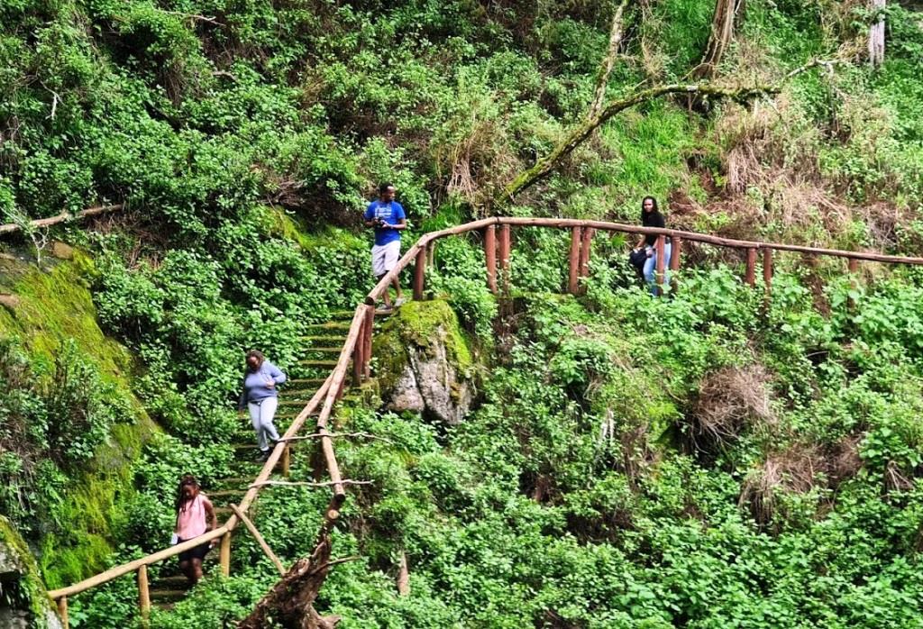 Kitum Cave – Abiri Kenya