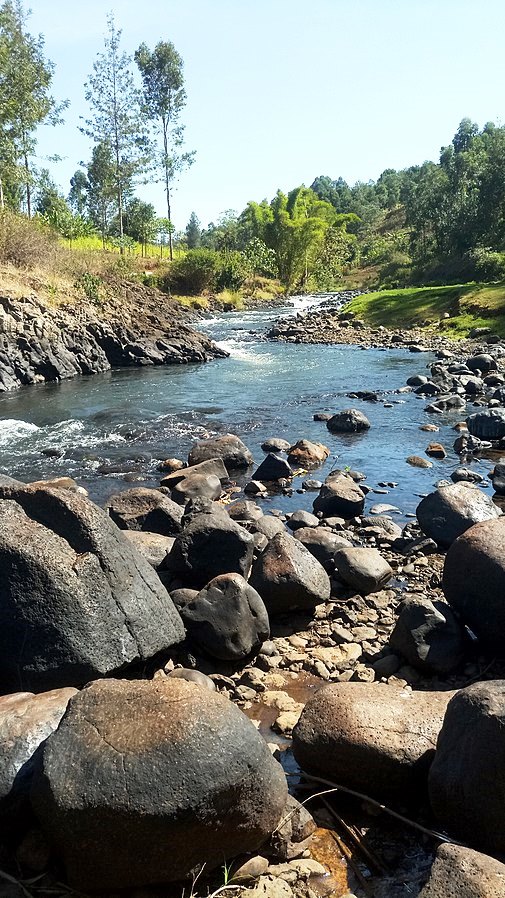 About Kirinyaga – Abiri Kenya